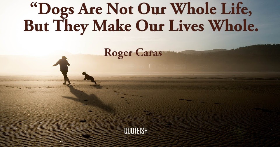 45+ Pet Quotes - QUOTEISH
