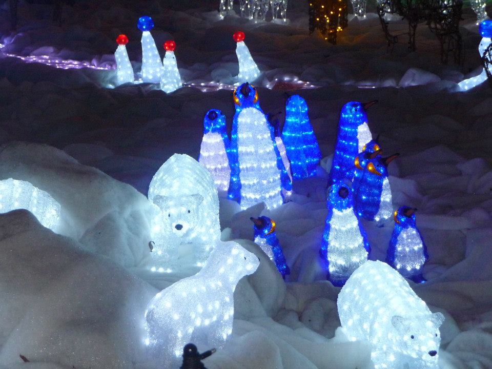 VisitEastbourne: VisitEastbourne’s trip to the Enchanted Zoo