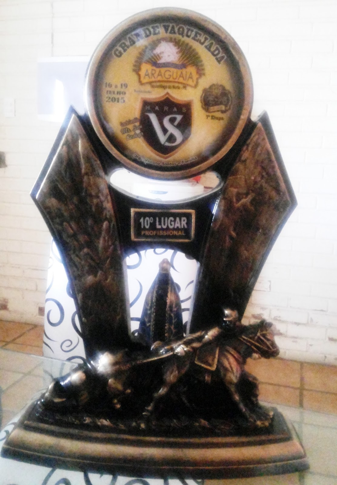 fatos e vaquejadas: VIVIANE SANTOS FALA SOBRE A VAQUEJADA DO MR. SAN BADREG