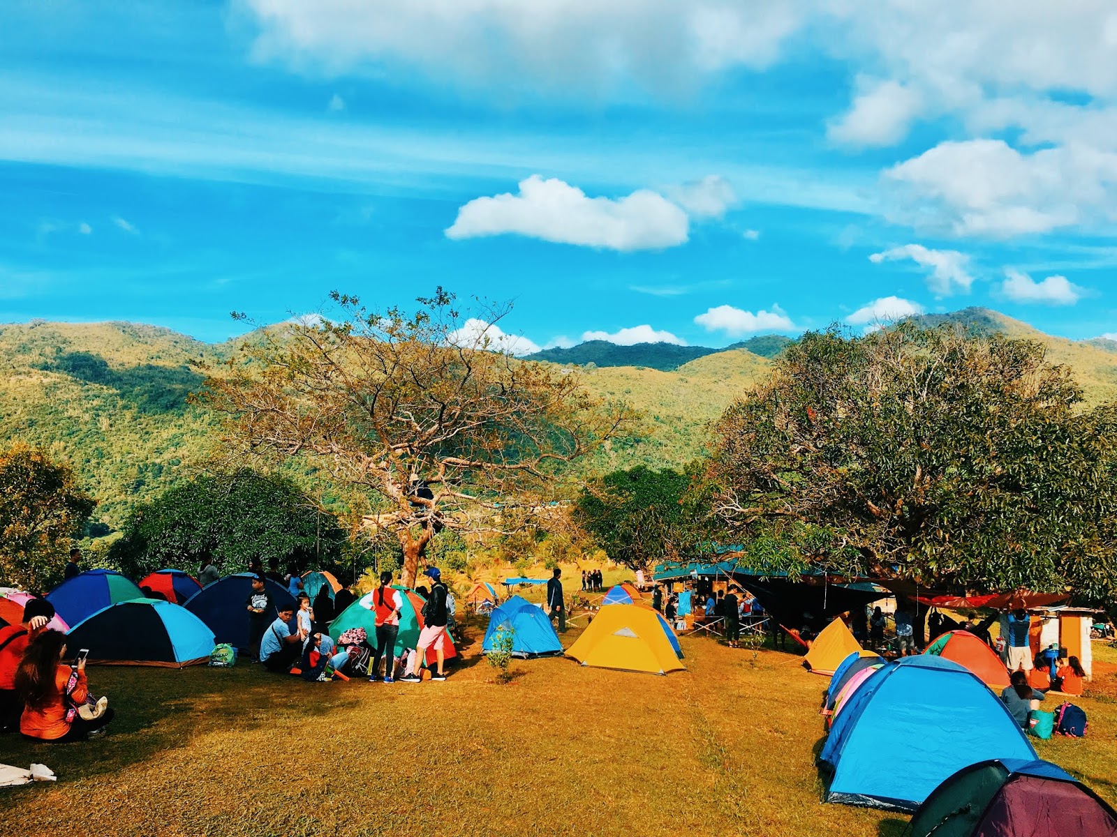 Make LOVE not WAR at Lambingan Hill Tanay, Rizal Philippines - WandeReview