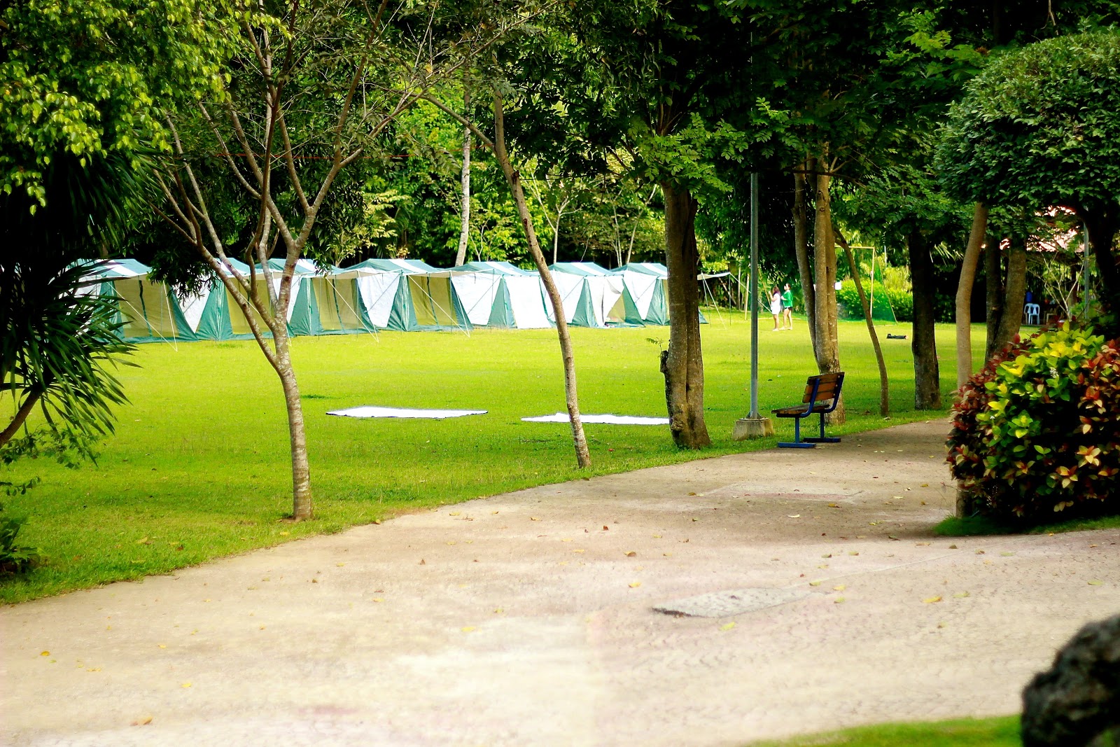 ~ MARIANA'S TALES ~ : LET'S GO TO GENESIS VALLEY