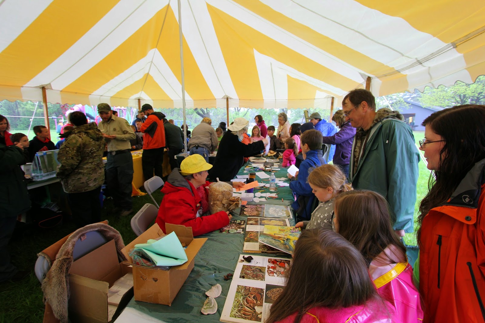 Isabella Conservation District Environmental Education Program: 2015 ...