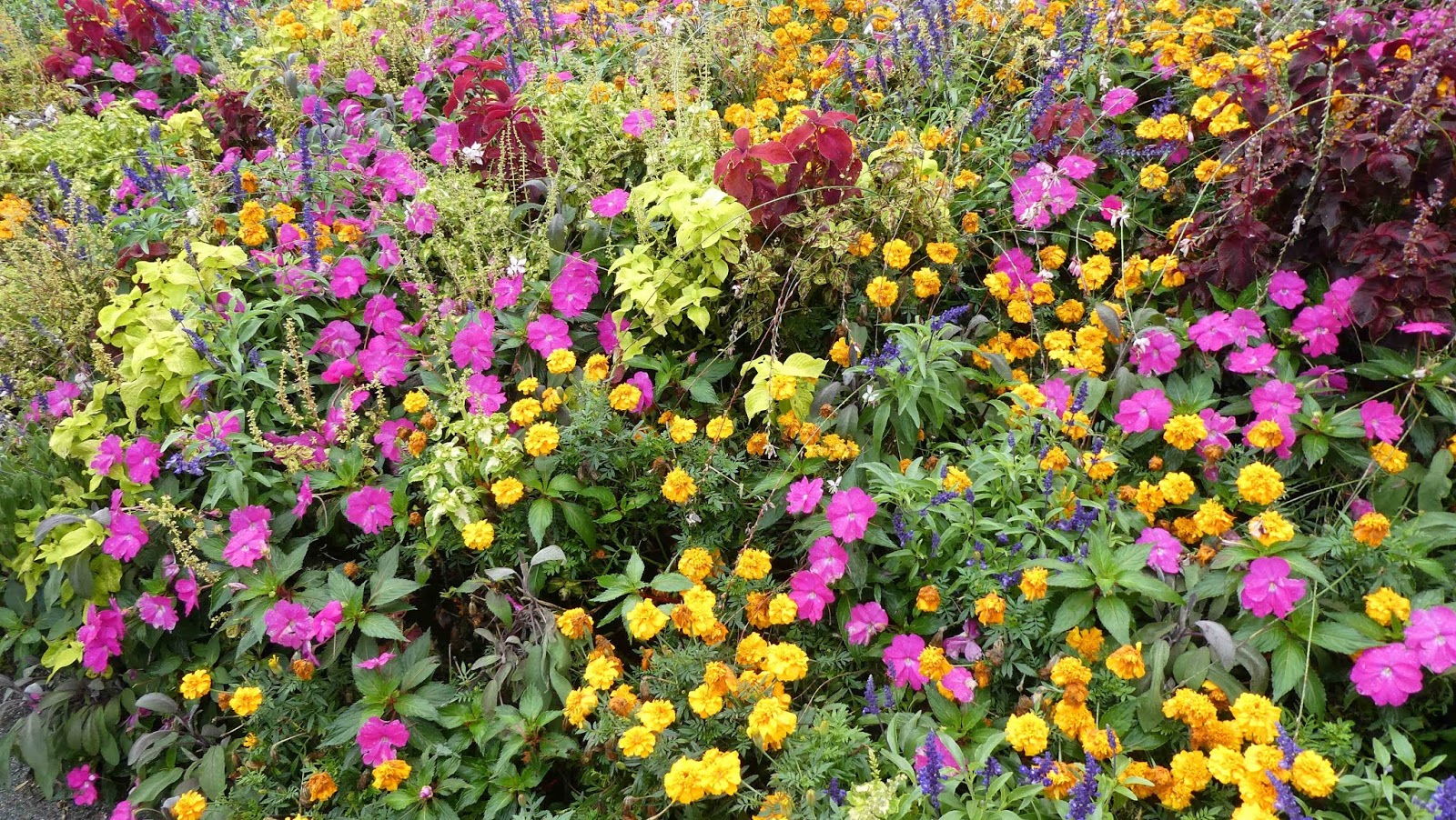 La Lair On Wheels: Graz, Austria: Pedestrians' Delight