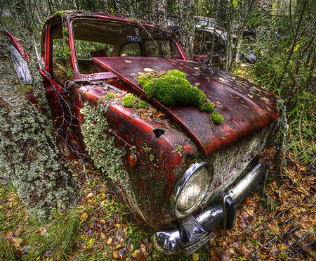 autographica: decaying cars as art? fascinating images all the same.