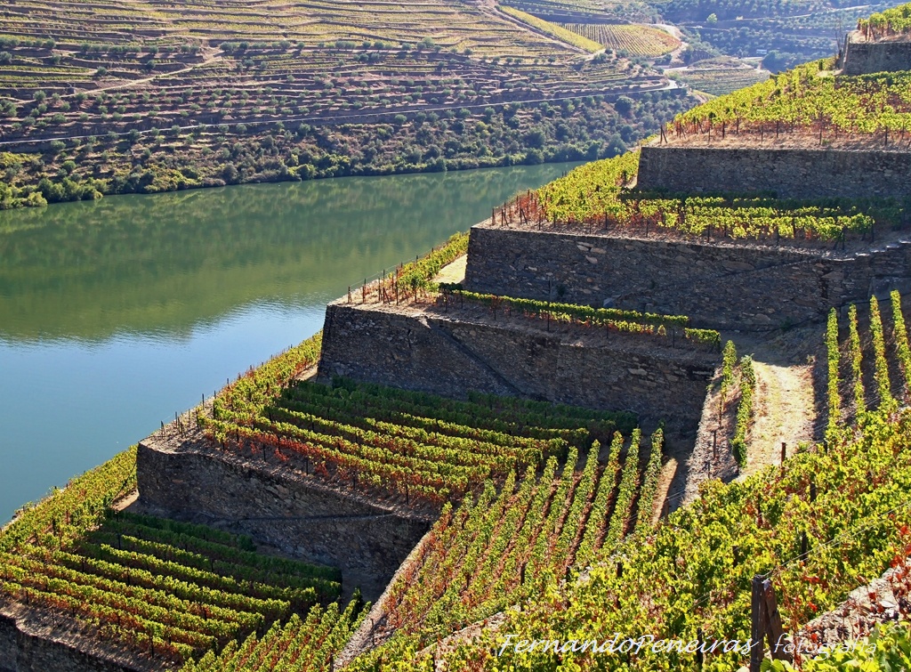 Fernando Peneiras - fotografia: Alto Douro Vinhateiro