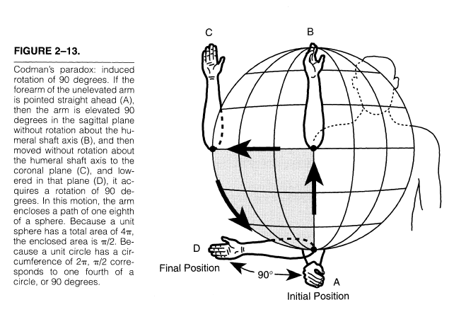 Codman S Range Of Motion Pictures