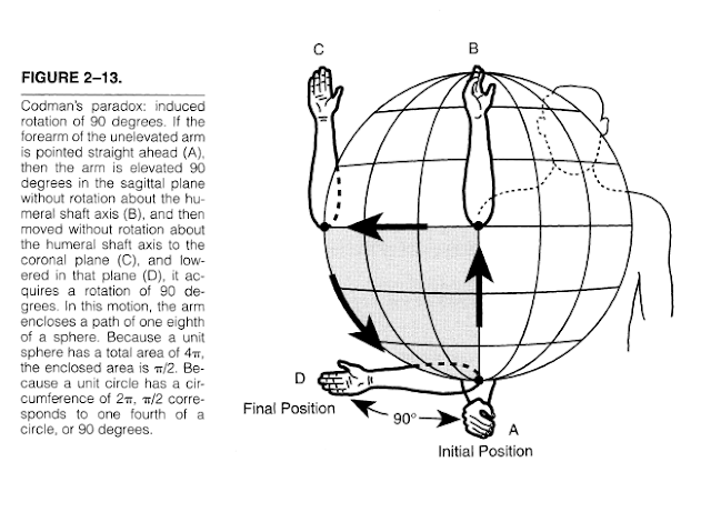 UW Shoulder and Elbow Academy: Defining functional shoulder range of ...