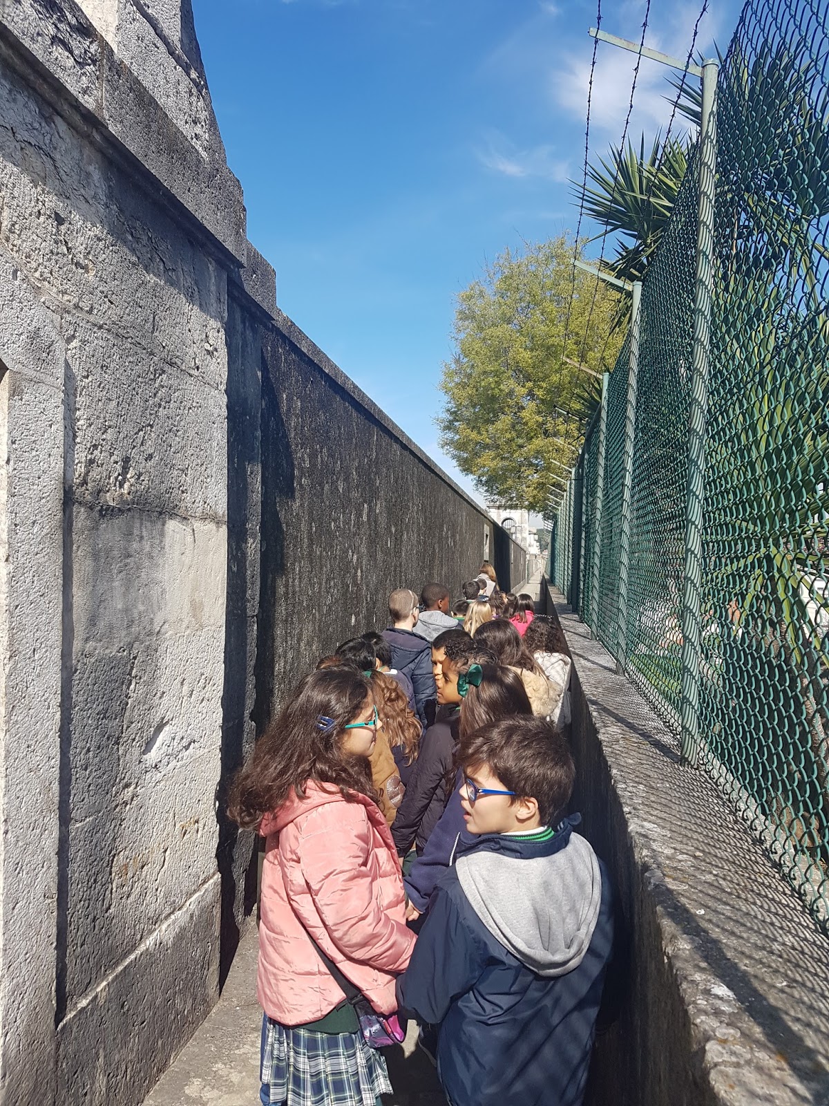 QUOD ERAT - Externato Flor do Campo: 3.º Ano