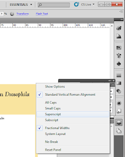 Useful Information: Superscript, subscript, and padding (margins) for ...