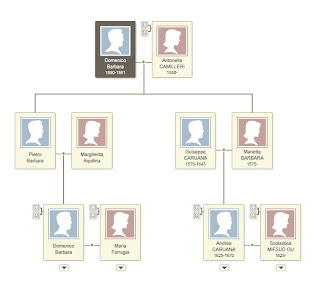Barbara Vassallo Genealogy