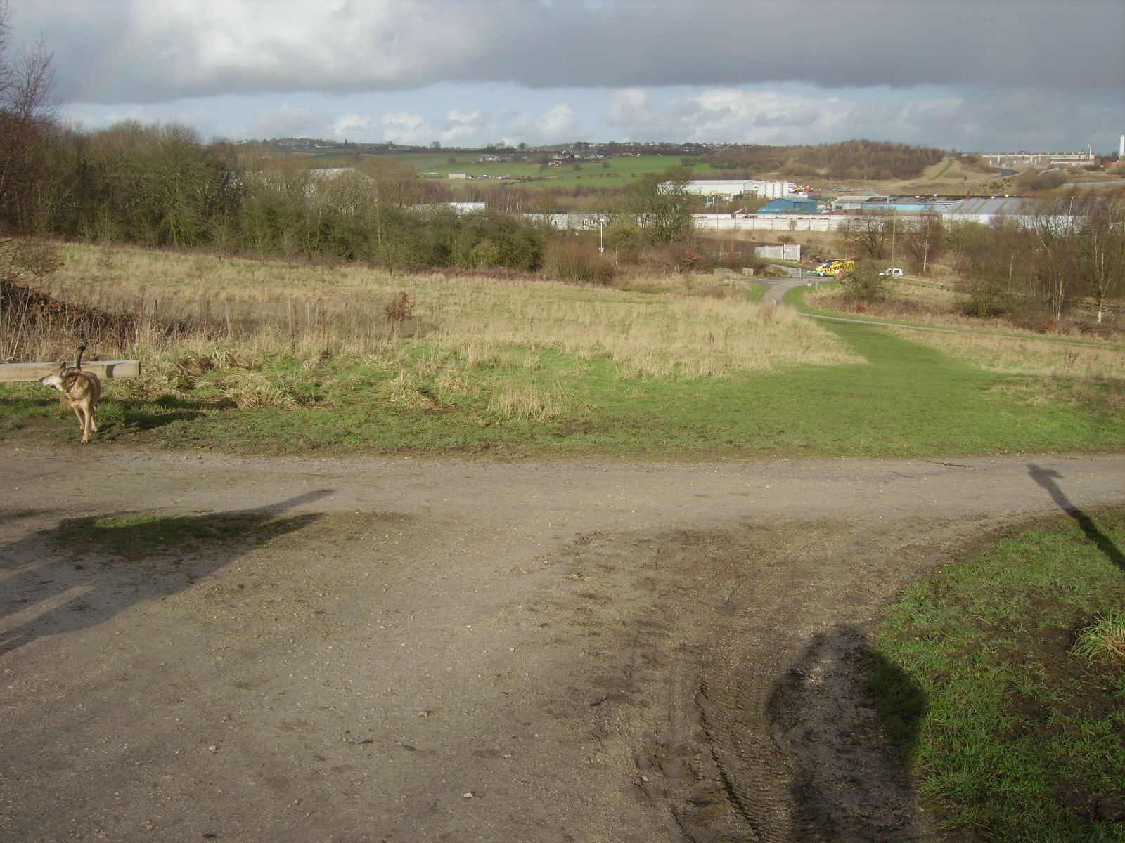 Dog Walks in Staffordshire: Apedale Country Park near Newcastle-Under-Lyme