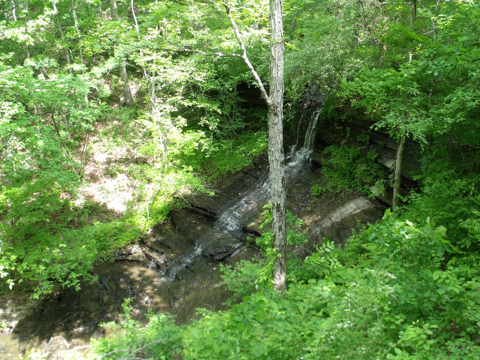 posted by Unknown @ 5:52 AM 0 comments