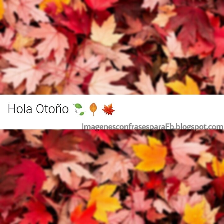 Imagenes Bonitas Y Pensamientos Positivos Feliz Otoño