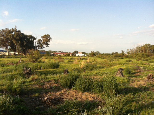 beautiful mind: Road trip: Kroonstad