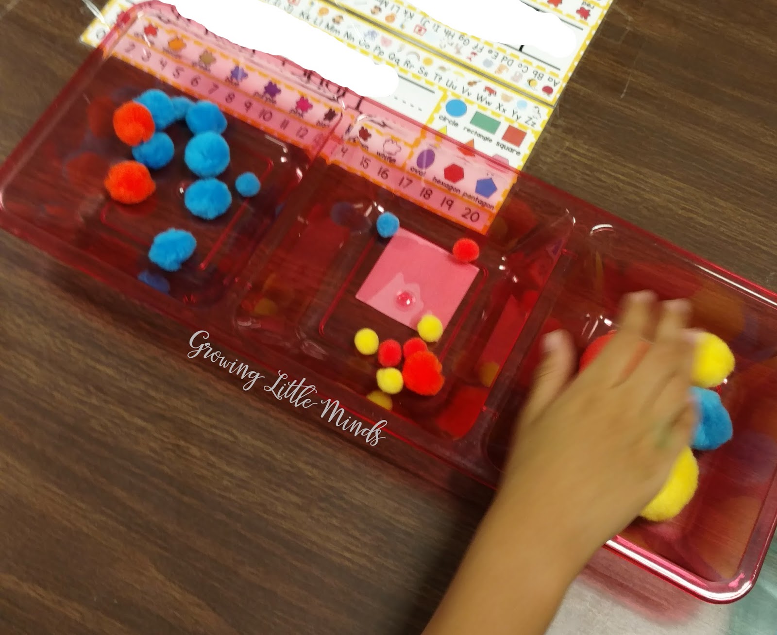 Growing Little Minds: Categorizing and Sorting in Kindergarten