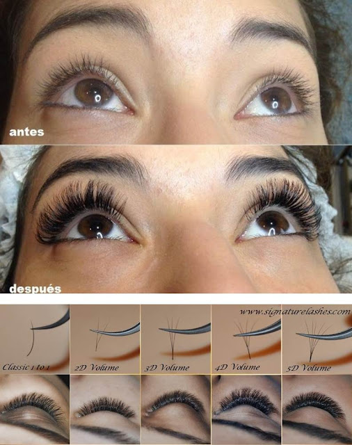 Pestañas Bivi701: Tecnica de Volumen Ruso con Bandejas de Pestañas ...