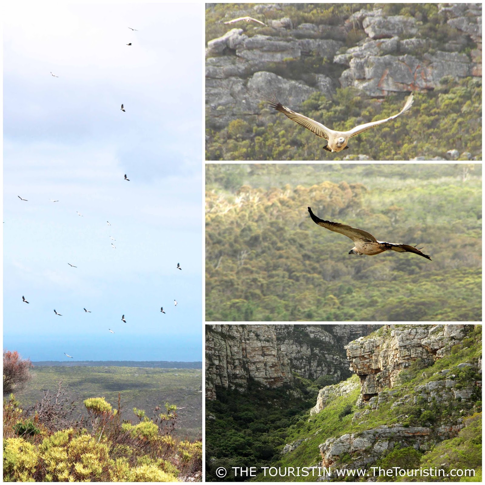 THE TOURISTIN: UNESCO Heritage listed De Hoop Nature Reserve - Guide ...