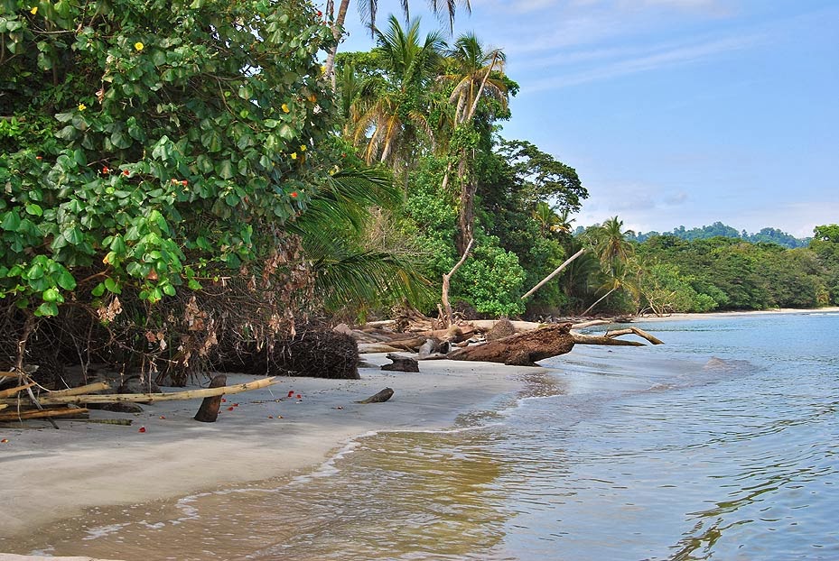 Cahuita - Hoja de Rutas - Blog de viajes y fotografía