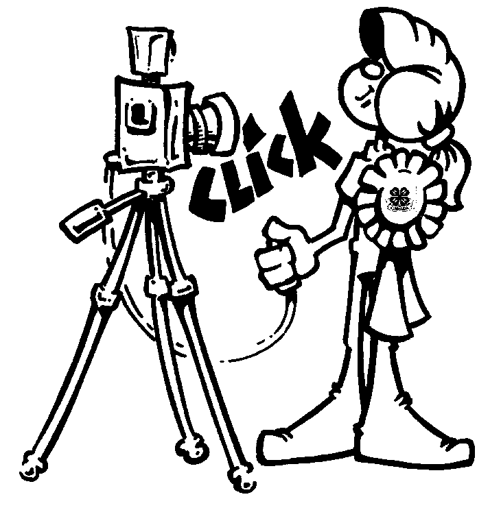 How to Organise a Bachelor/Bachelorette Party? | Animated Wedding ...