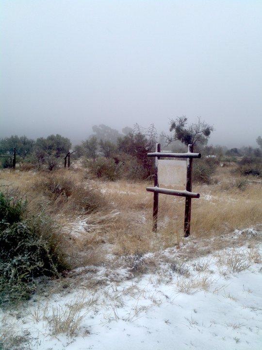 Springbok Atlas: Snow falls in Namibia