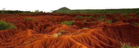 Degradasi Lahan pada Berbagai Ekosistem - Faktor Penyebab, serta Upaya ...