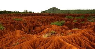 Degradasi Lahan pada Berbagai Ekosistem - Faktor Penyebab, serta Upaya ...