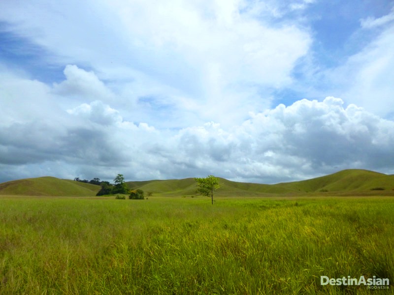 Rawa Aopa Watumohai; Taman Nasional Raksasa di Sulawesi | Basecamp ...