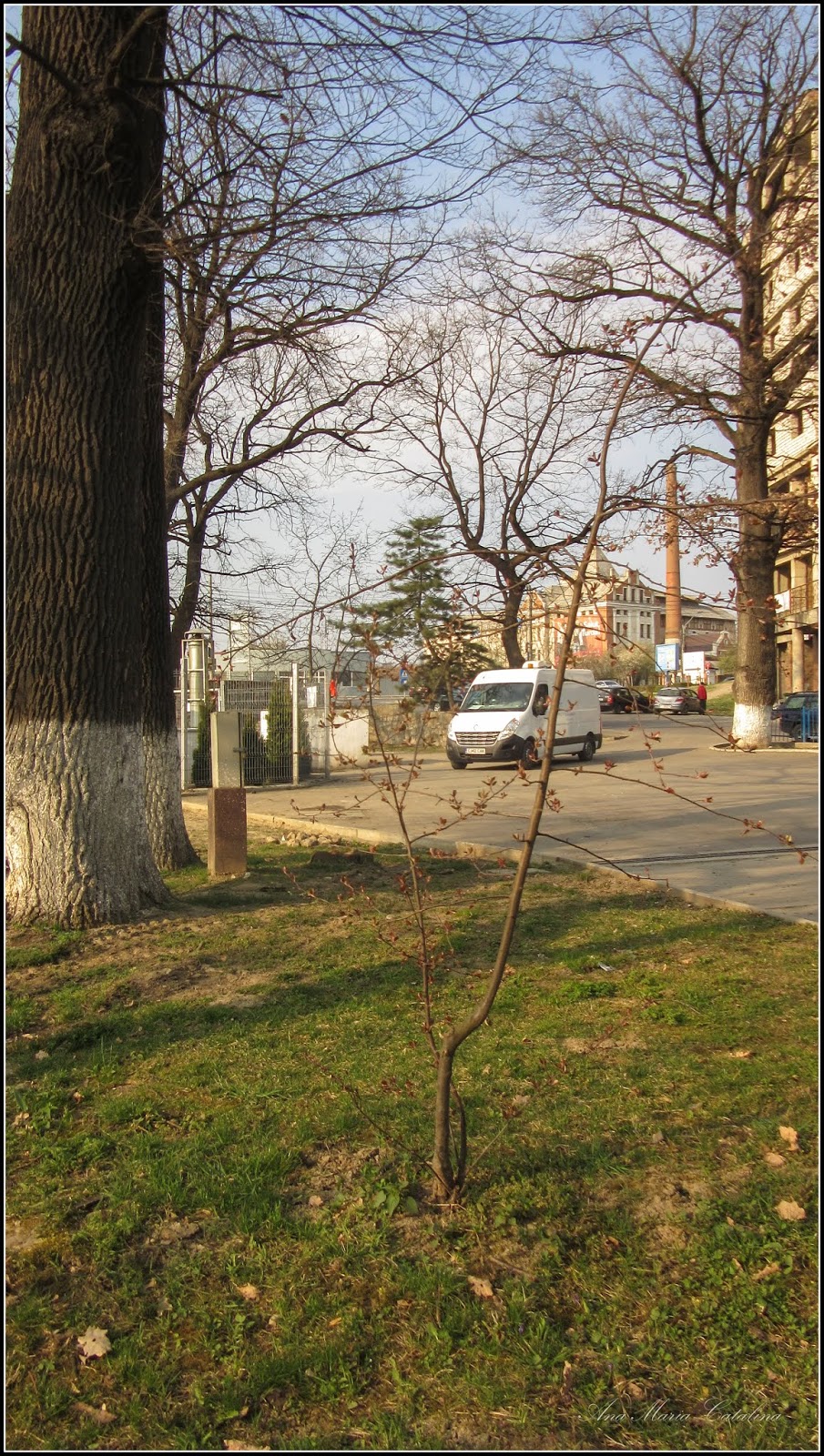 Lumea văzută din Turda: Turda - Parcul Central (Parcul Tineretului ...