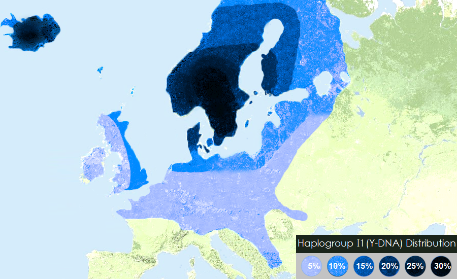 Haplogroup I1 Z63