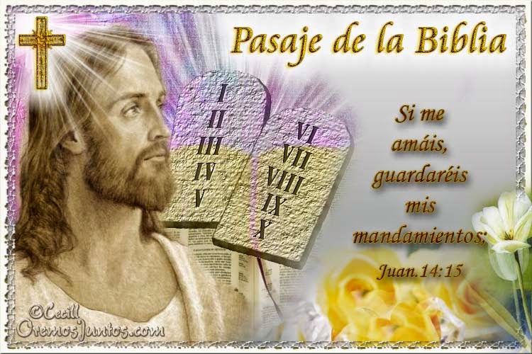 Vidas Santas: Santo Evangelio según san Juan 14:15