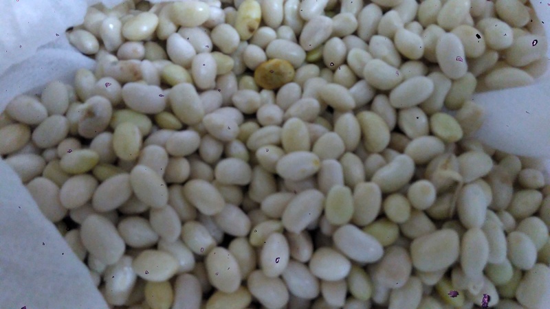 ReViNa's rasoi magic: AVARE KAALU KURMA