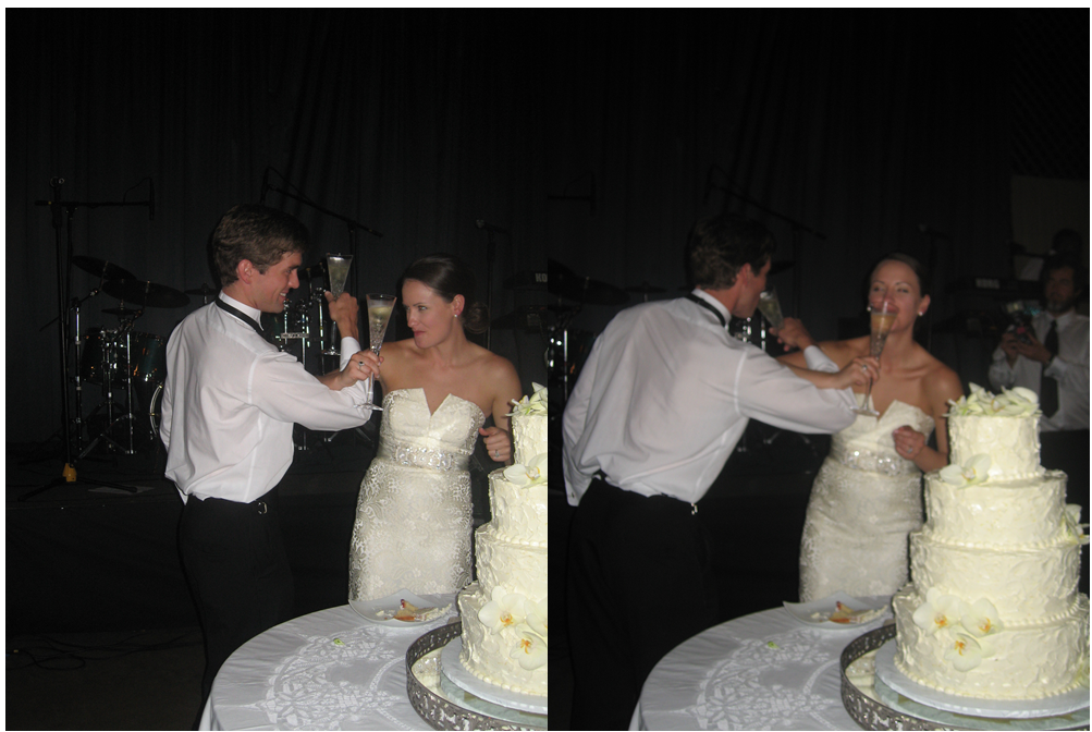 The Pink Elephant: Mr. and Mrs. Douglas Reilly Monroe!