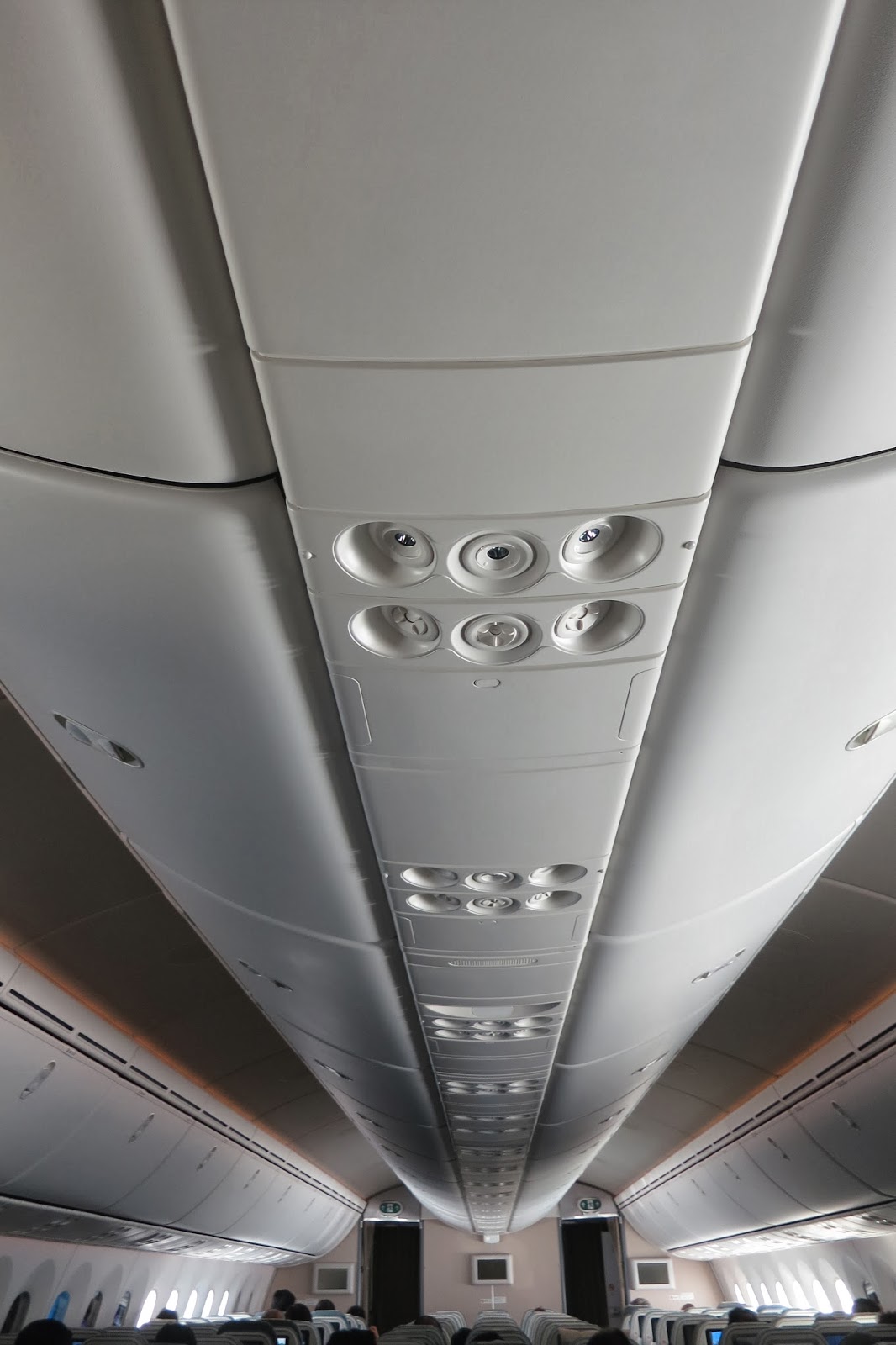 Charles Ryan's Flying Adventure: Discovering Royal Brunei 787 ...