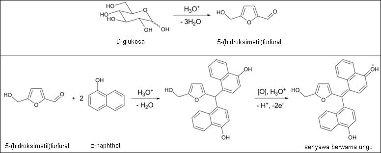 UJI MOLISCH | Only you knows why!