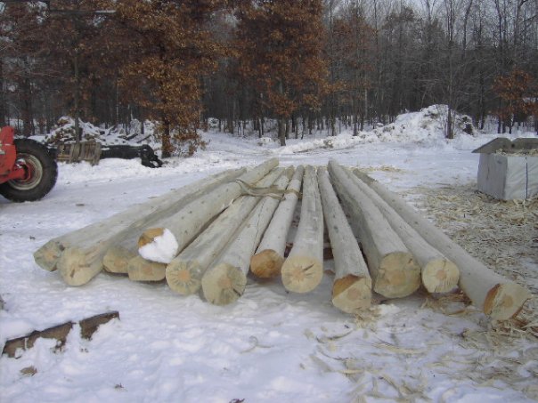 Rustic log homes for SALE: D shape logs for SALE