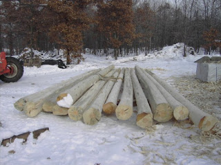 Rustic log homes for SALE: D shape logs for SALE