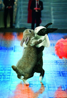 Dancing Bunnies | sawpedia