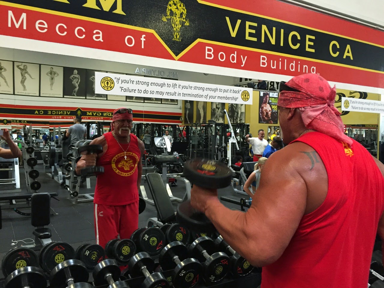 Hulk Hogan Fans Club Italia: Hulk Hogan è tornato ad allenarsi alla ...