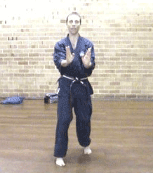 Karate: kata (forms)