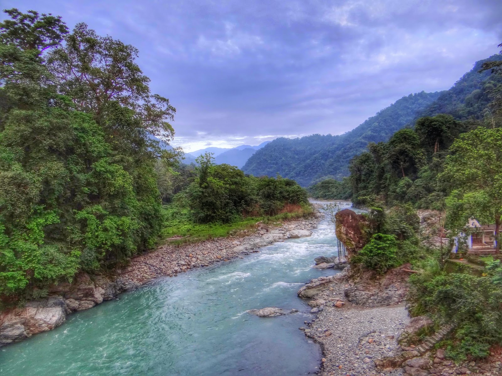 IT Nature Club: Notes from the North East - Tinsukia to Wakro