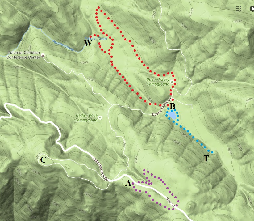 Birding Site Guide: Hiking Palomar Mountain State Park - Greg in San Diego