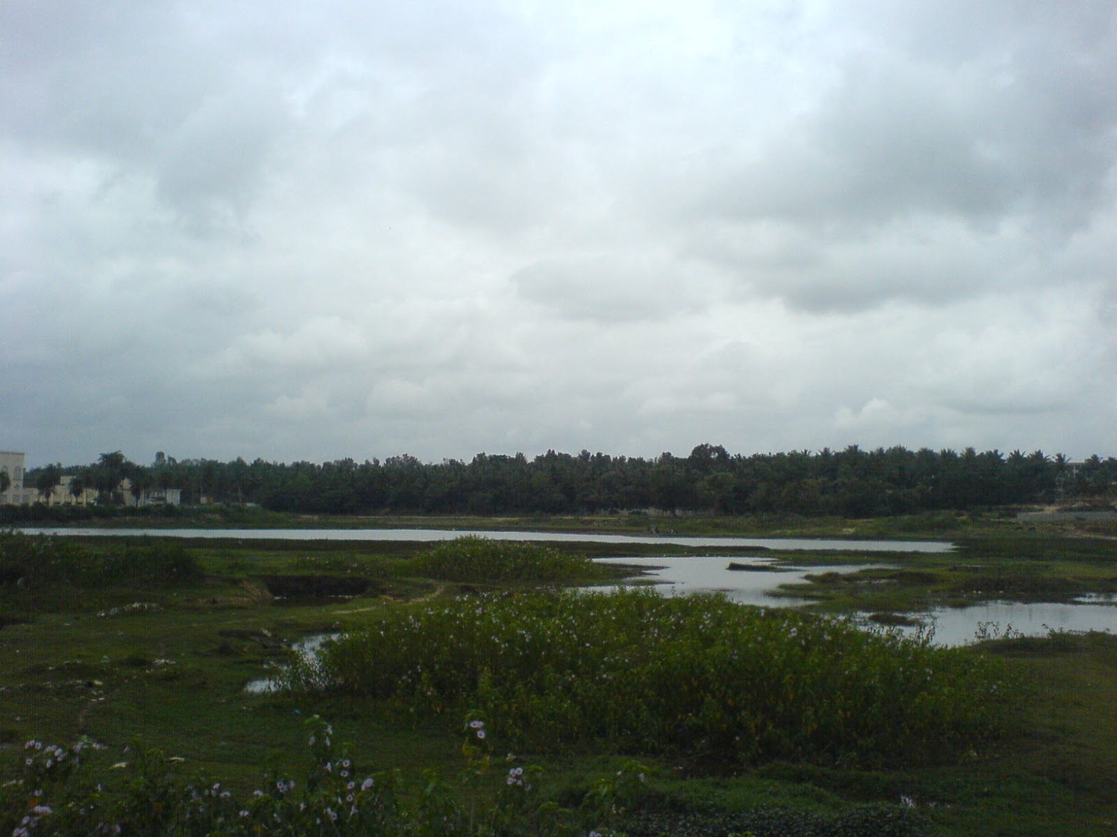 LifeinBLR - Life in Bangalore: Gottigere Lake Photo Gallery-Untouched ...