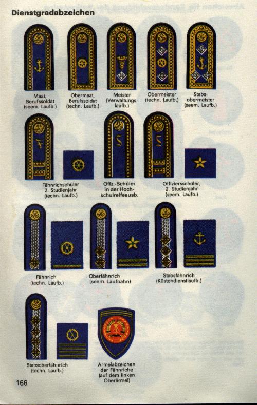 DECODED: The Cold War in Europe 1945-1995 : Structure of the School of ...