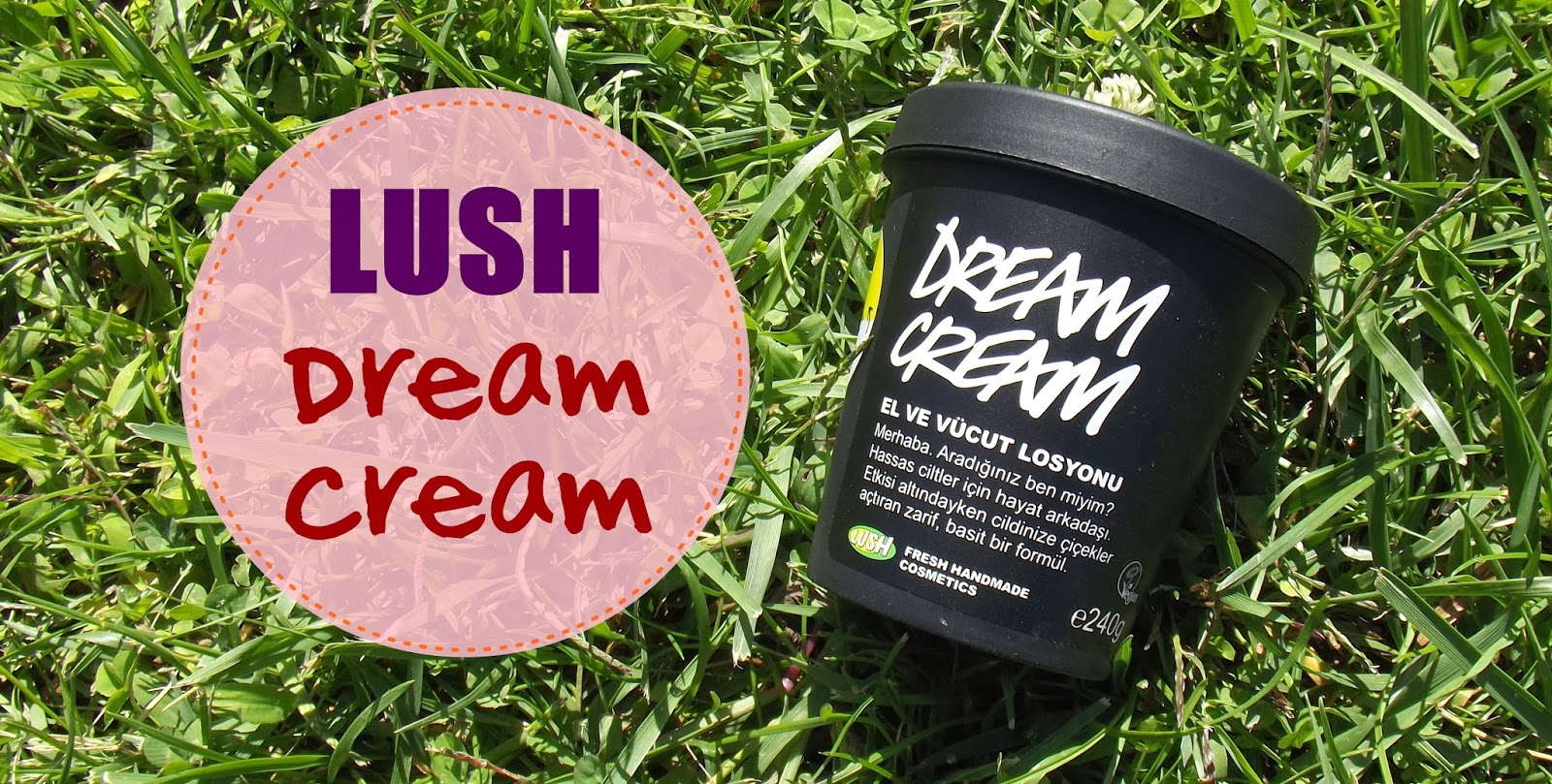 Lush - Dream Cream | 7 hills of beauty