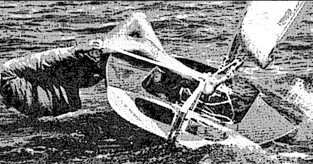 Earwigoagin: Header Photos: Scow Moth, Largs Bay 1986