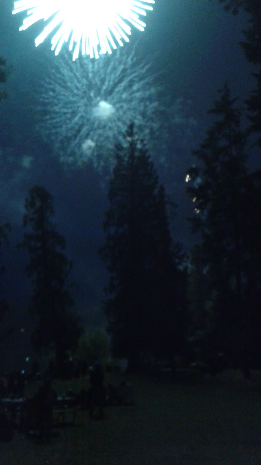 Barers of Maple Valley: Maple Valley 4th Of July