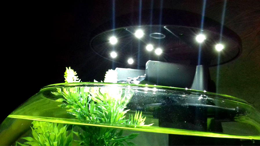 Le nano aquarium cascade "globe" très design de chez Jardin déco