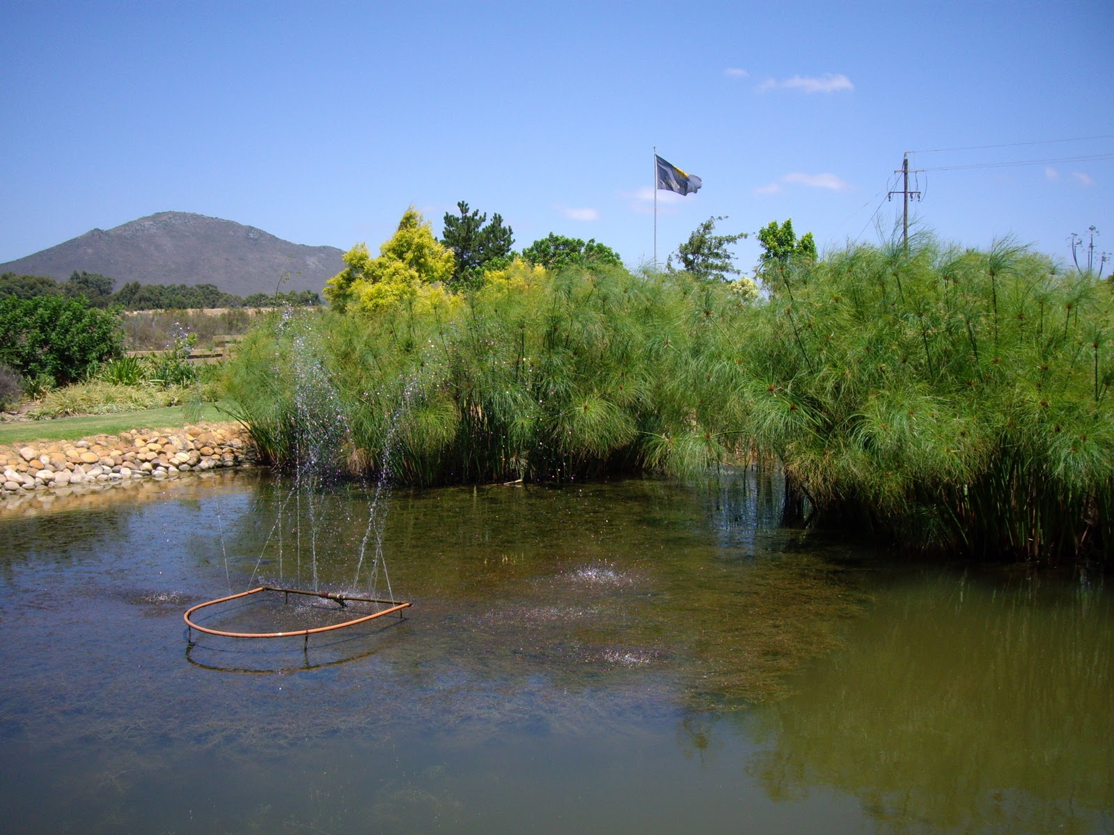 Wineries in the Western Cape: Anura winery - Simondium/Paarl