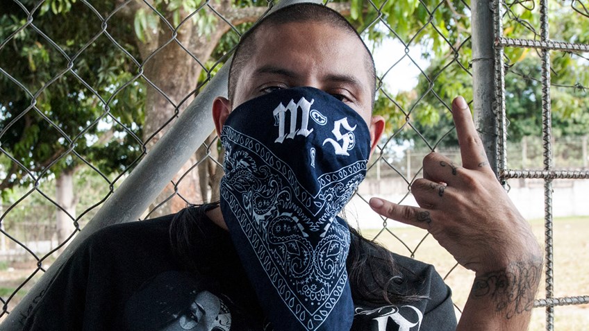 Mara Salvatrucha 13