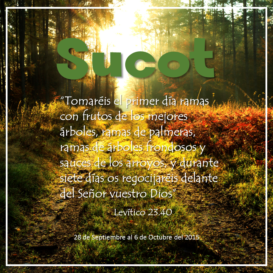 Aprendiendo a celebrar Sucot